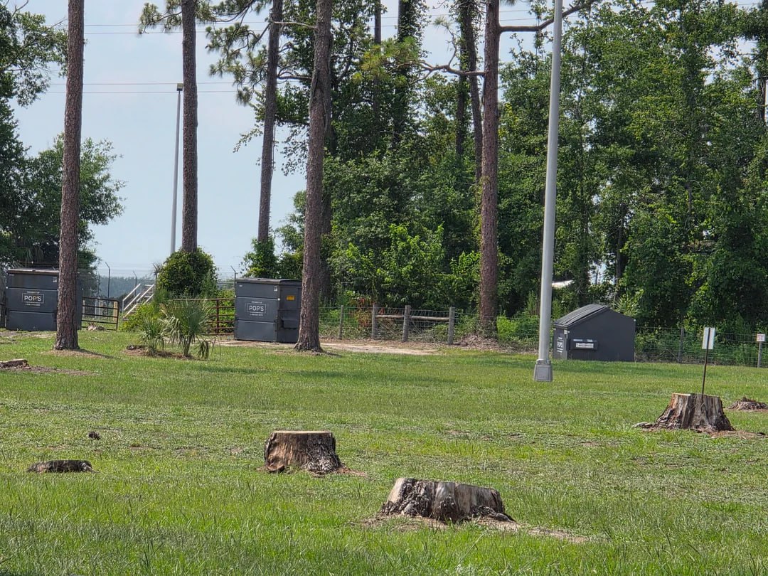 Telegram channel "MAGIC RUST" — @magicrust — TGStat